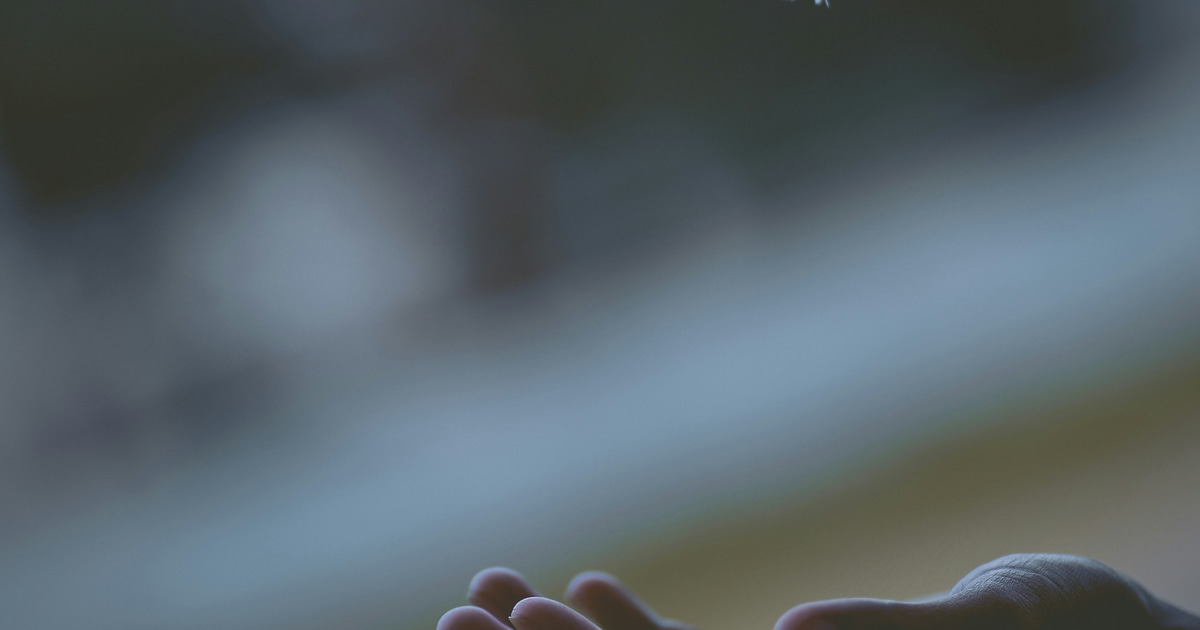 God in all Things - Pray As You Go
