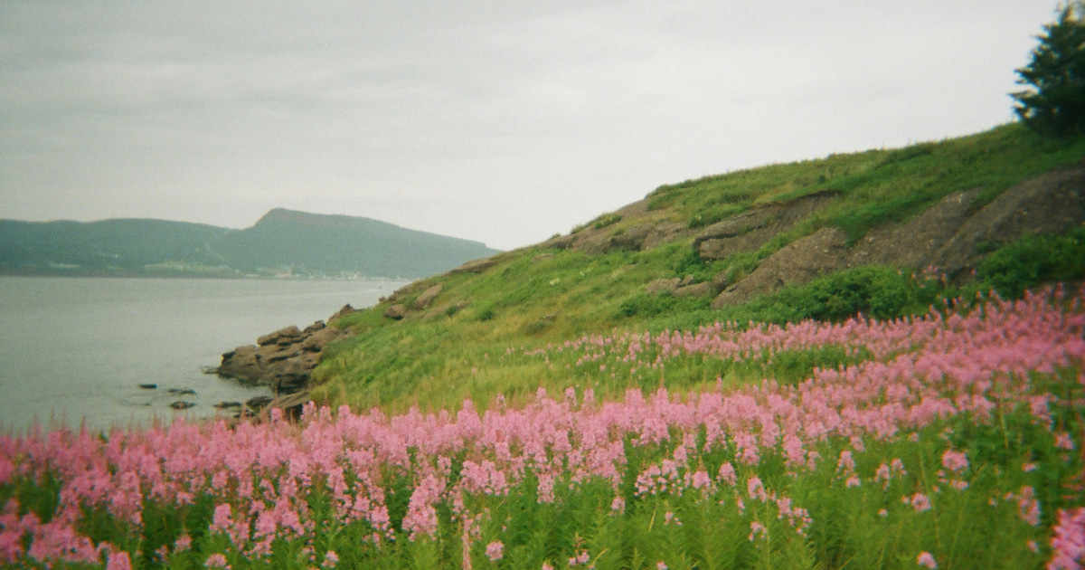 Feeding the Crowd - Pray As You Go