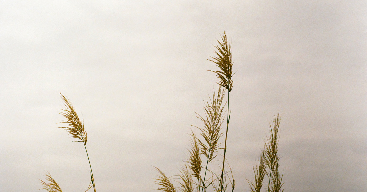The generous God of surprises - Pray As You Go